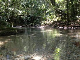 Scher Goes Places ♥: Tales from Mt. Natib and Pasukulan Falls