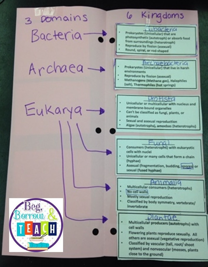 Beg, Borrow, and Teach!: 3 Kingdoms and 6 Domains Differentiated Foldable