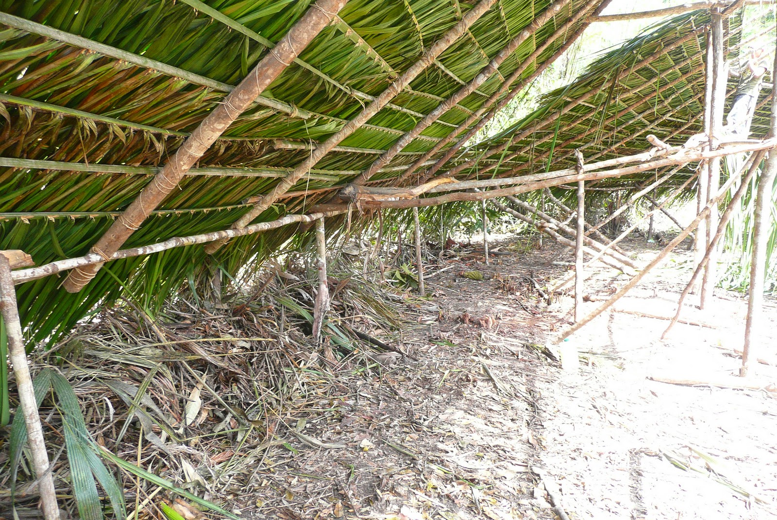 ARQUITECTURA INDÍGENA: CONSTRUCCION DE UN SHABONO YANOMAMI or "Making ...