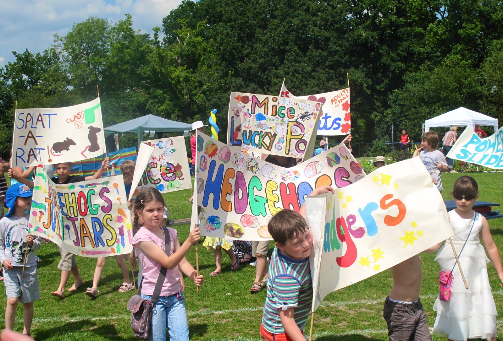 Emma Hill: A Sunny Summer Fayre at Goldsworth Primary.