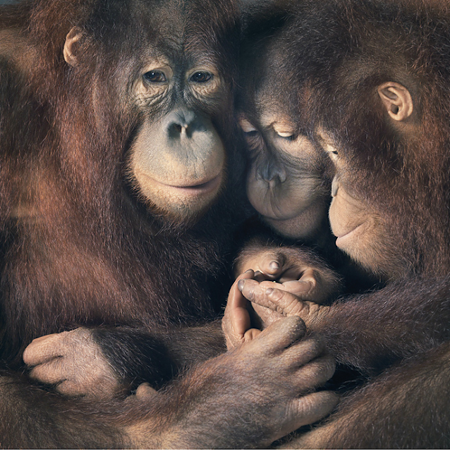 Oh, by the way...: BEAUTY: Photography--Tim Flach