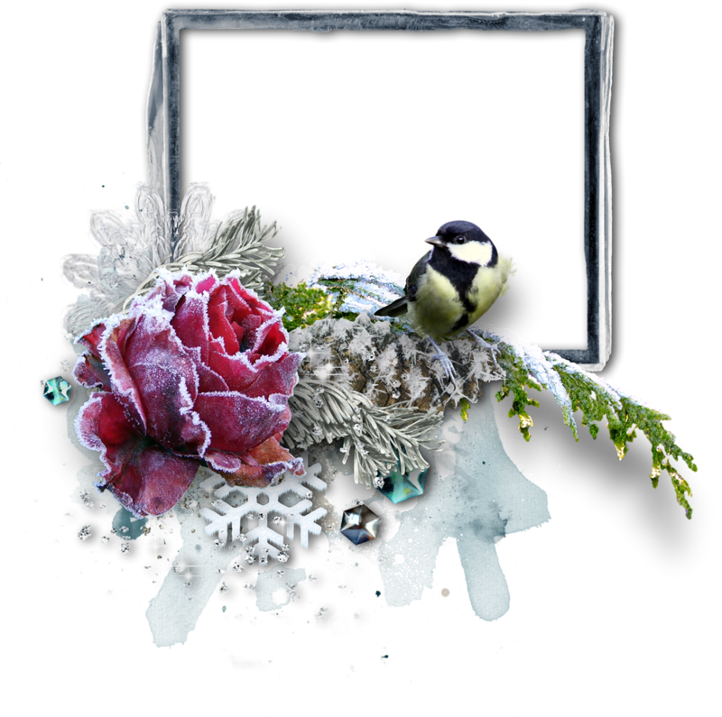 ForgetMeNot: cluster winter frames