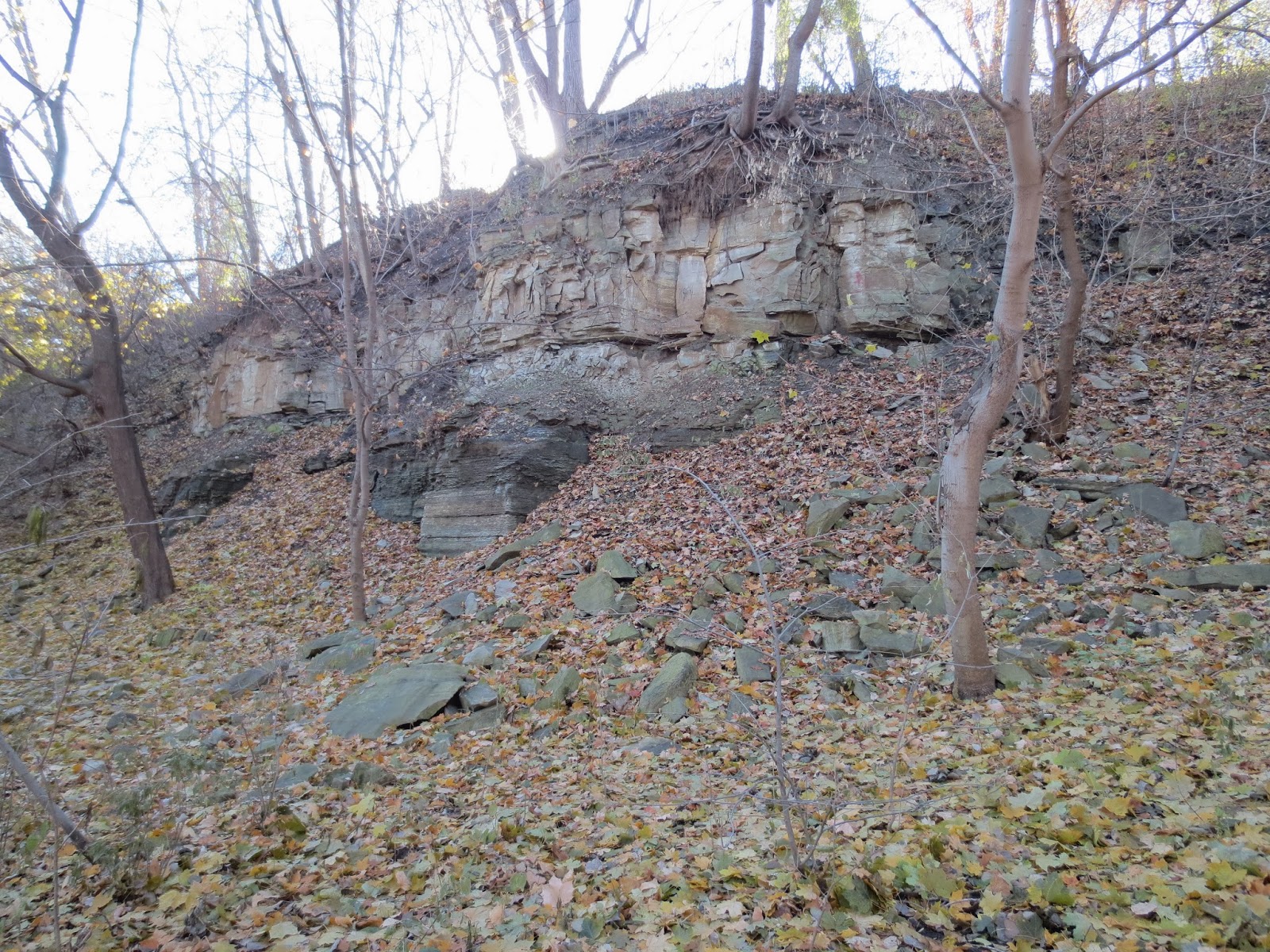 Equatorial Minnesota: Divisions of the Platteville Formation