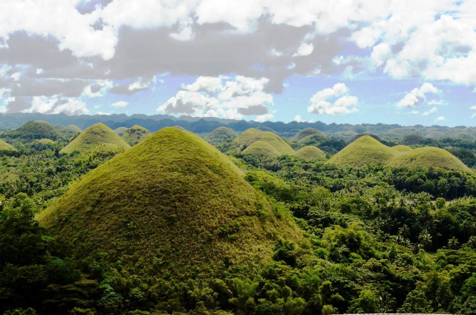 POSTCARD SERIES l Chocolate Hills in Bohol