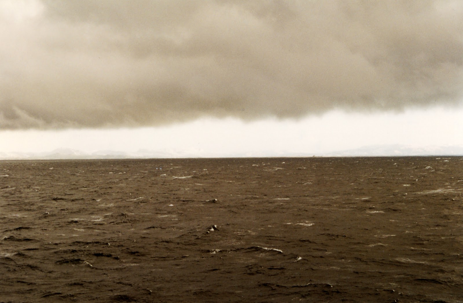 'ZIEN EN WETEN': SUNETTA M.S. SHELL TANKERS B.V. ( DEEL 7/1 )