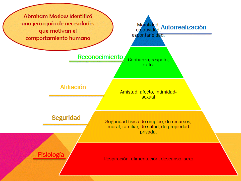Caracteristicas Del Enfoque Humanista - arbol