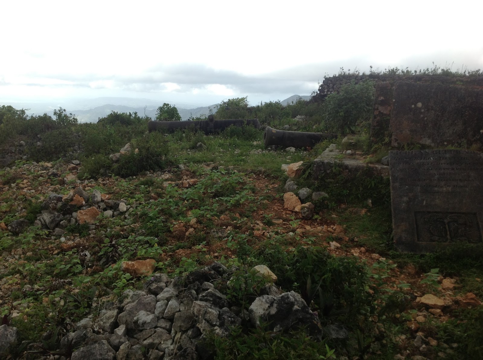 The Last Summer... Kenbe La: Why is Peak Macaya Haiti's Last Remaining ...