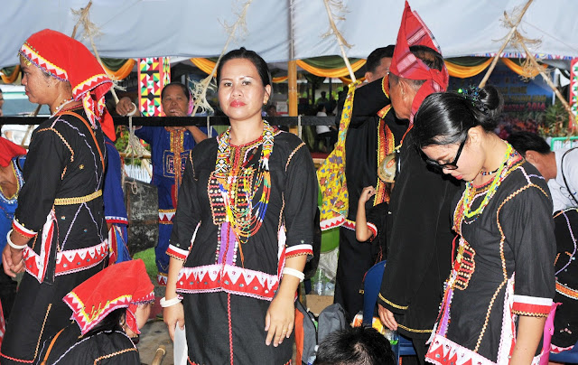 Origin of the Natives Kadazan Dusun Murut people of Borneo - the mtDNA ...