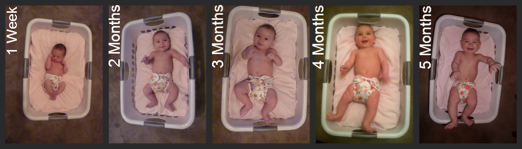 Living with a Lily: 5 Month Growth Progression