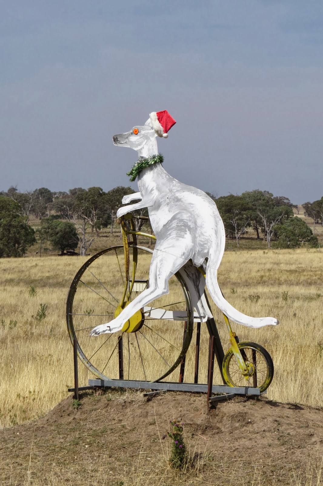 A Strong Belief in Wicker: Animals on Bikes