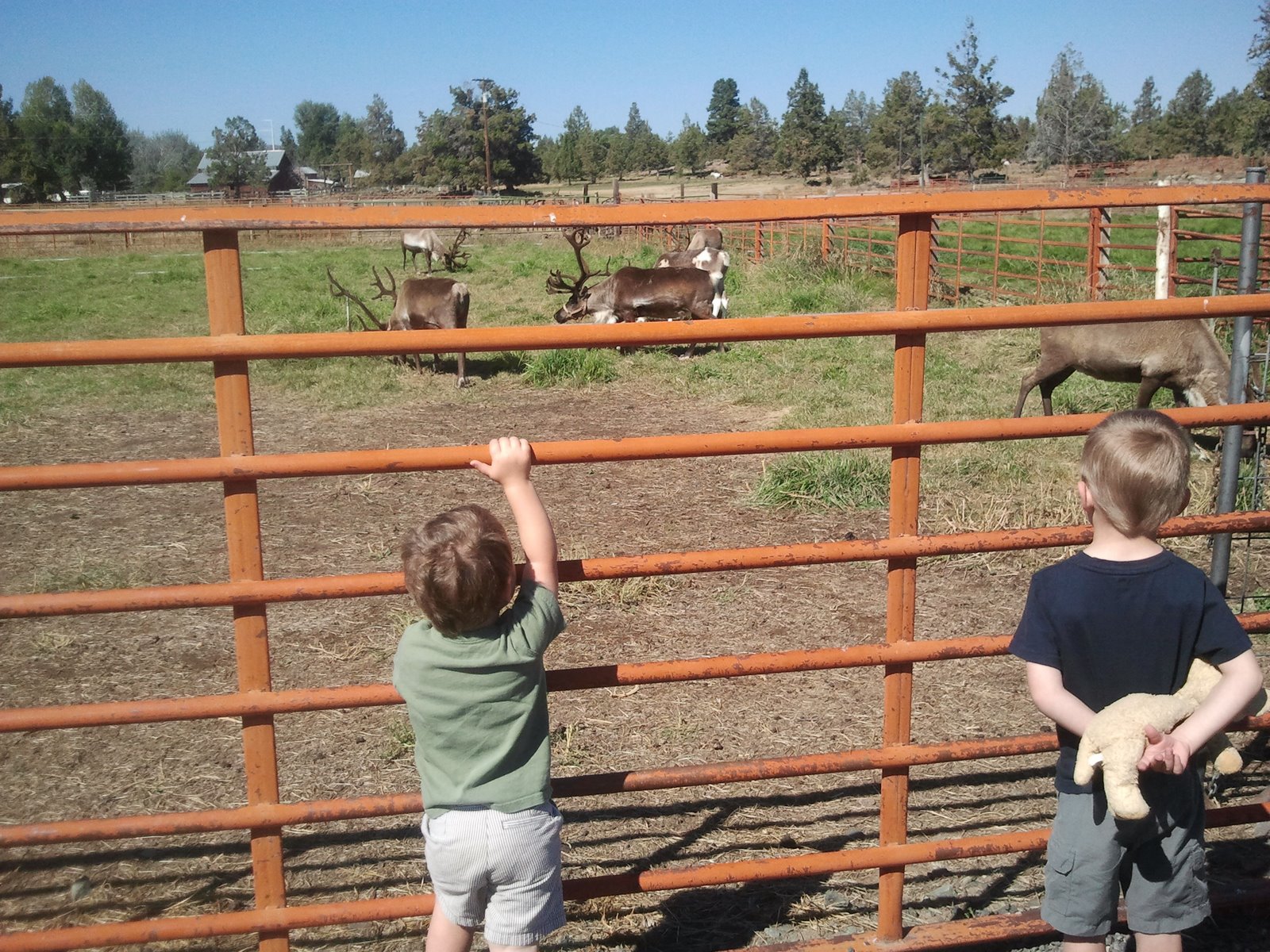 Operation Santa Claus Reindeer Ranch, Redmond