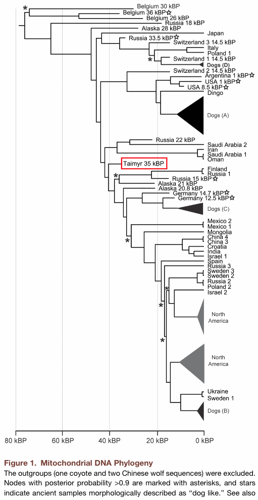 The Genealogical World of Phylogenetic Networks: Trees, networks and dogs