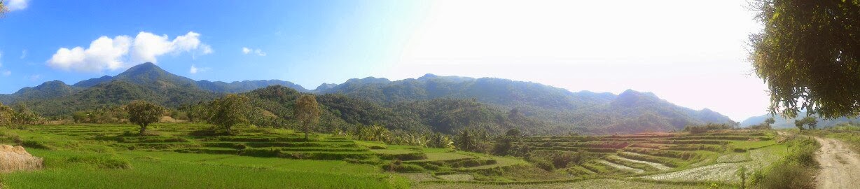 Mt. Naguiling Mountain Exploration ~ City Boy Tripper