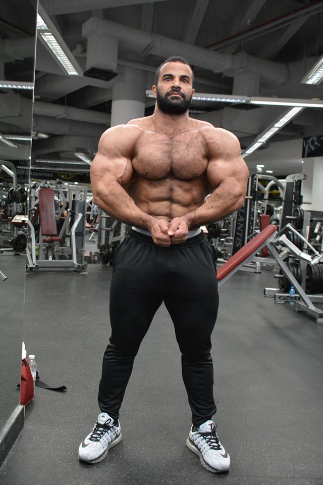 Muscle Lover: Egyptian bodybuilder Ahmed El Wardany - Gold's Gym 2017