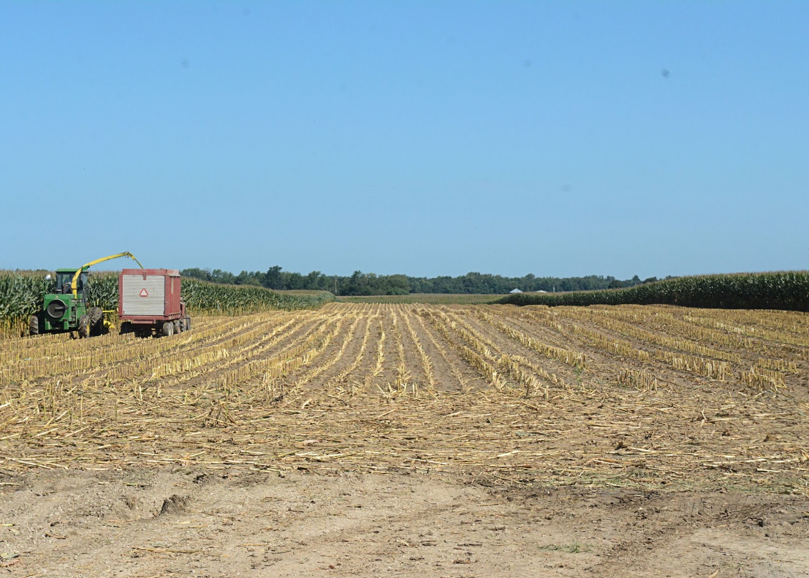 This Farm Family's Life: What is Chopping Silage and Why Do You Leave ...
