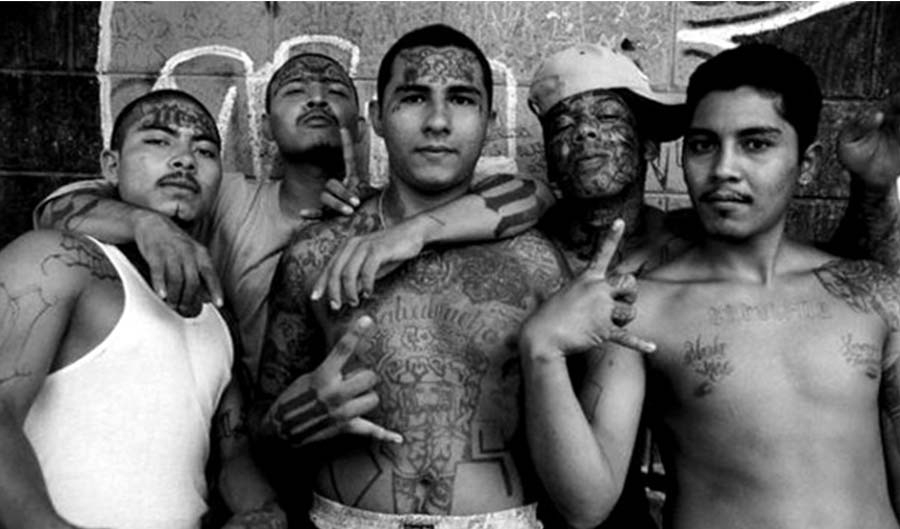 top 10 world: Top 10 Most Dangerous Gangs In The World