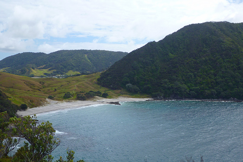The Adventures of S/V Silhouette: Journey to Whangarei