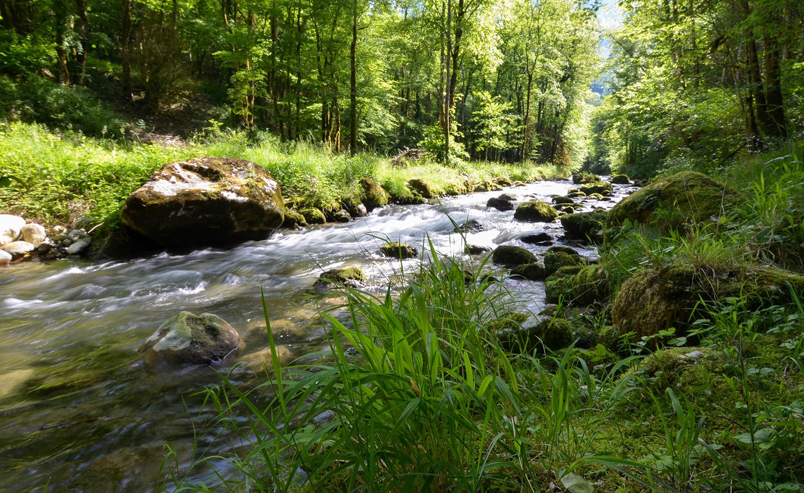 DROMESCAPE - Randonnées en Drôme et Escapades photographiques: Autour ...