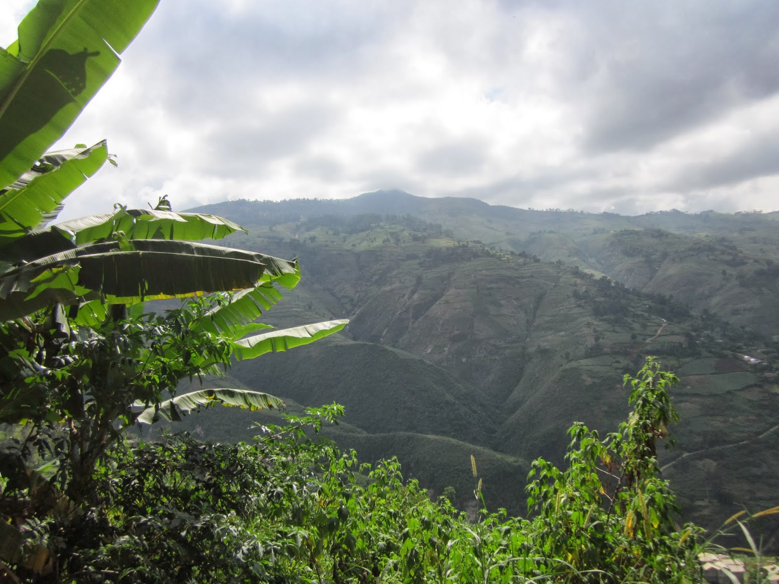 The Pears in Haiti!: Kenscoff