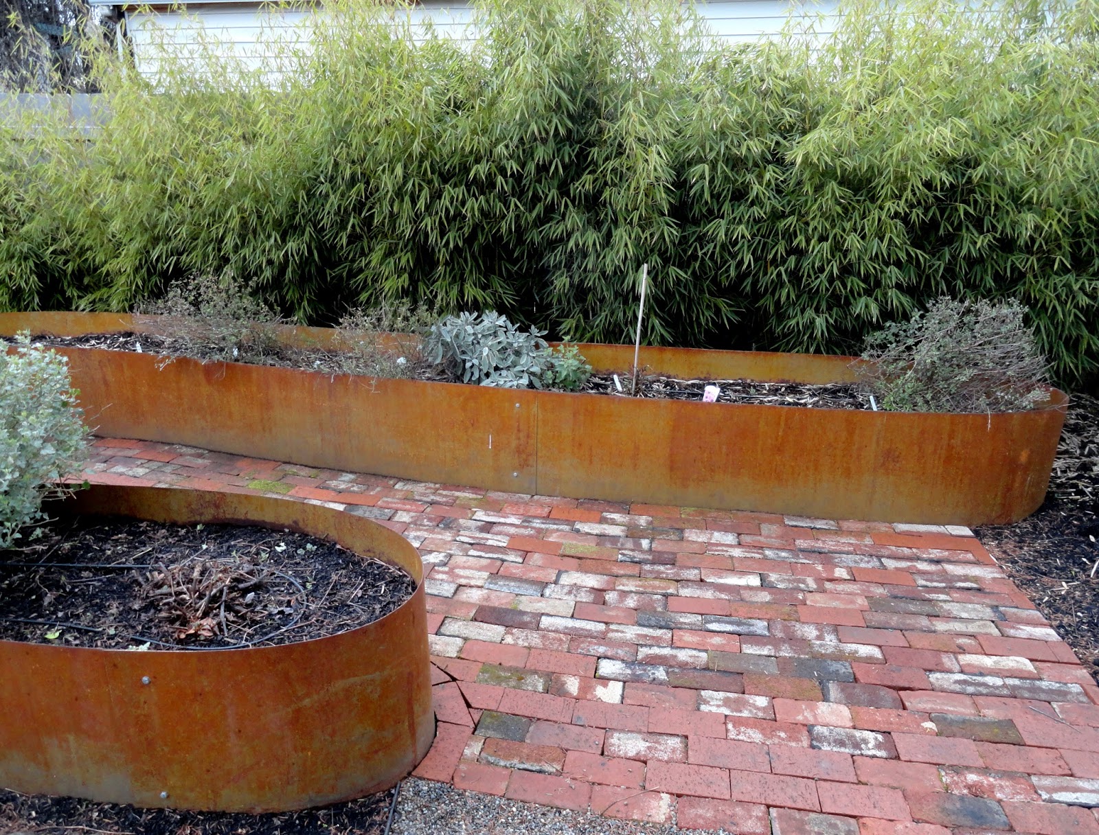 danger garden: Garden visit follow-up (x2)...