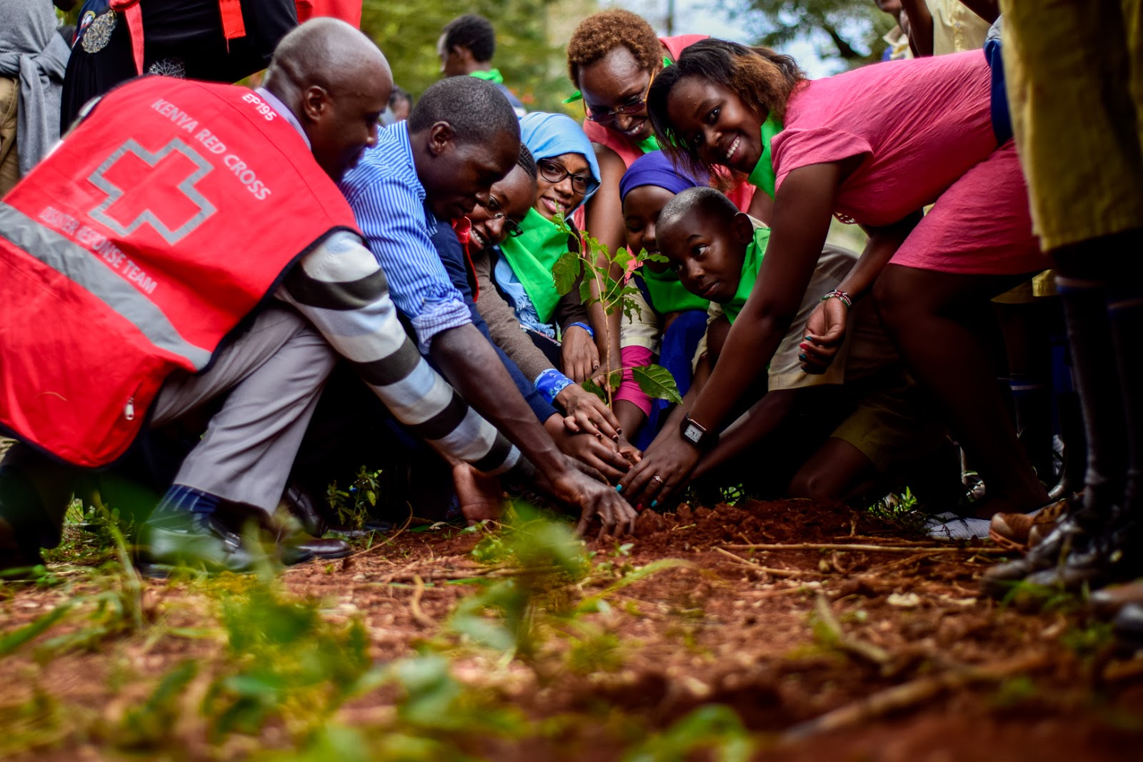 Thika Red Cross spearheads tree planting exercise. - Thika Town Today - 3T