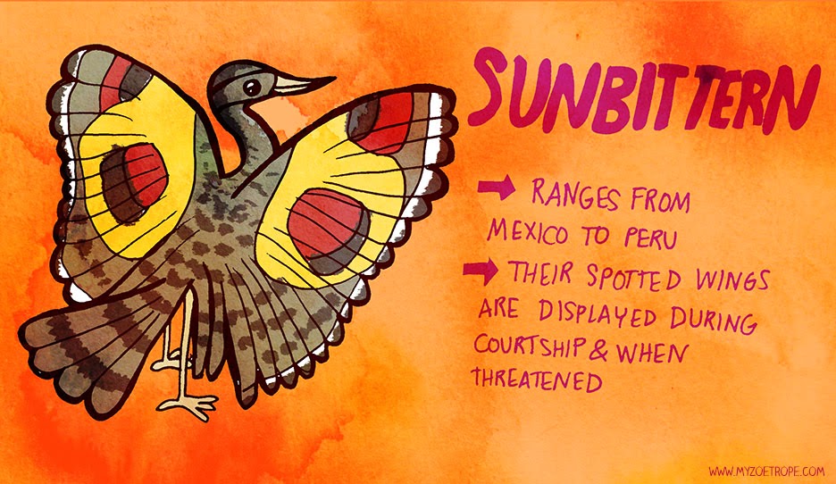 My Zoetrope: 280: Sunbittern