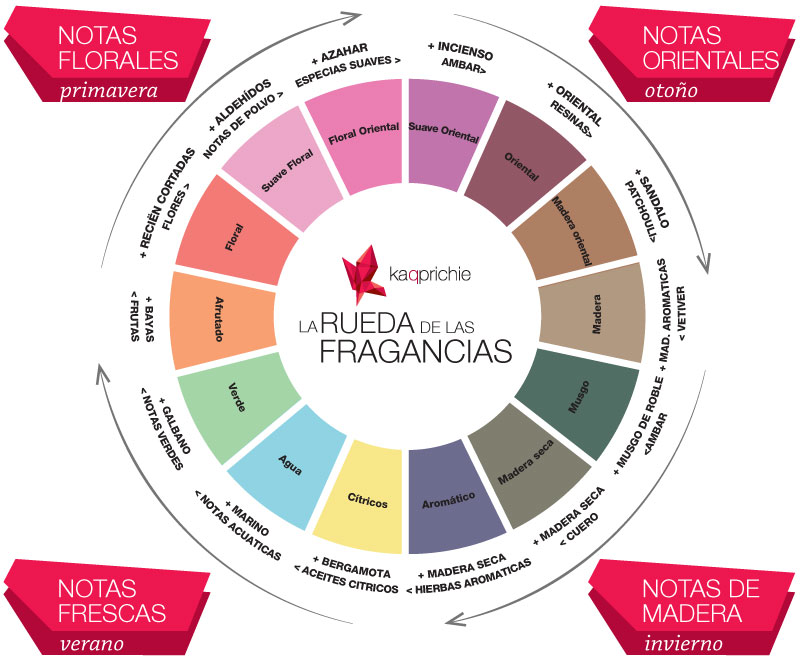 La Pirámide Olfativa