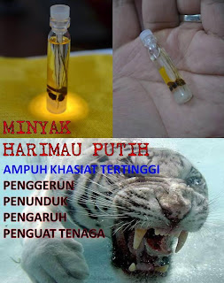 PENDEKAR TERULUNG: MINYAK HARIMAU PUTIH ASLI DARI JOGJAKARTA