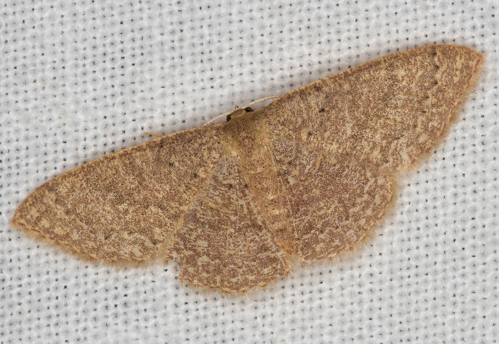 Zen Through a Lens: October 2011