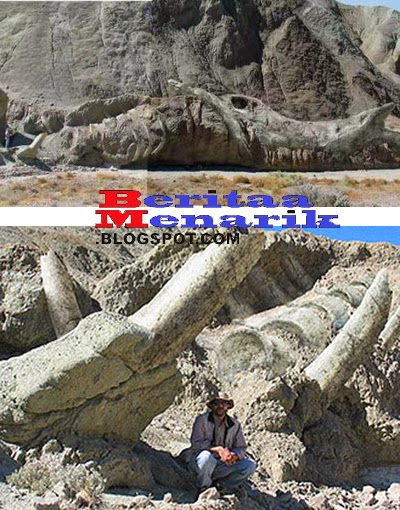 Penemuan Fosil Terbesar Di Dunia
