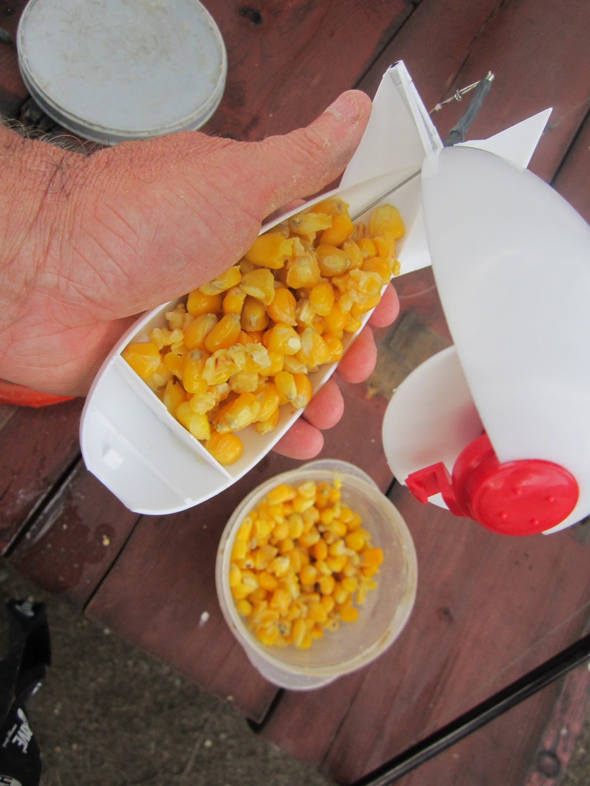 Rhode Island Carp Fishing: What is a Spomb?