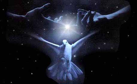 Setrian Erwanda: Merpati Putih Lambang Kesetiaan