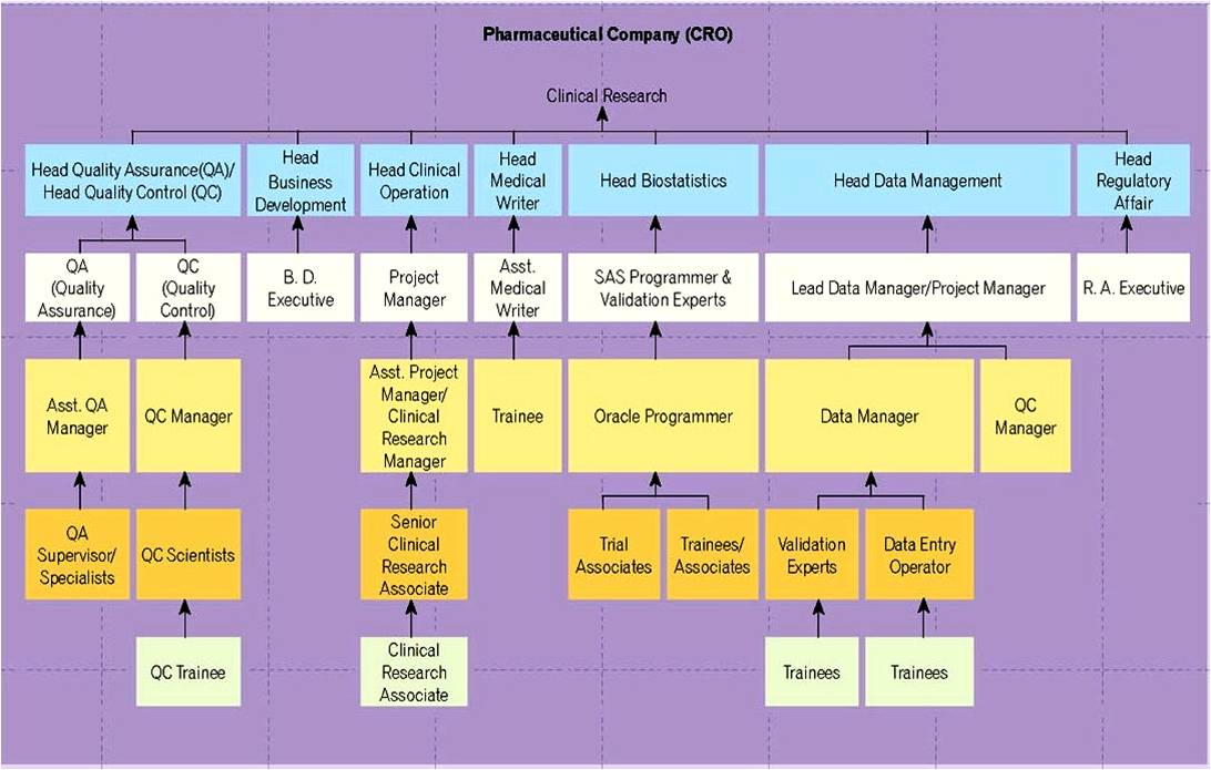 Clinical Research For Dummies: career progression in a pharmaceutical (CRO)