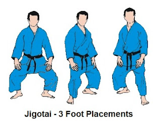 MMA WEAPON: Stand up positition Judo