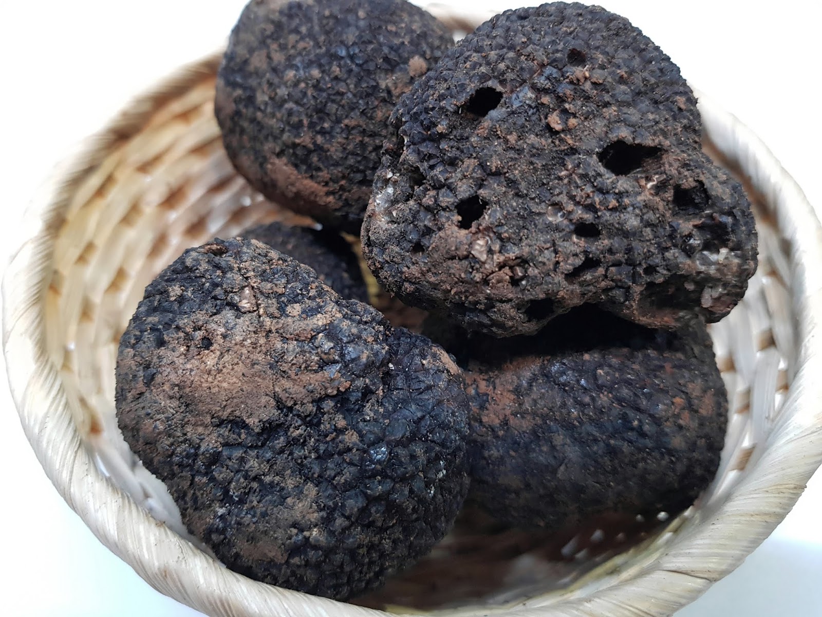 La micologia gastronomica en Asturias: La Trufa, el Diamante de la ...