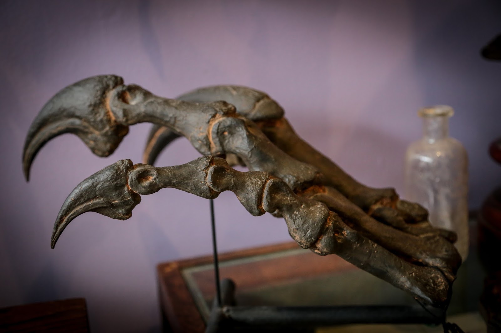 The Seattle Bucket List: Beautifully Strange And Unusual - Nevertold ...