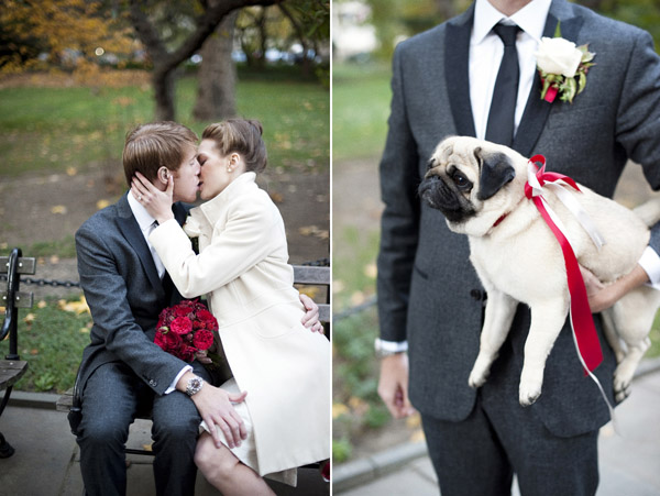 Itty Bitty & Fluffy: Wedding Dogs - Justin & Mary Marantz Photography