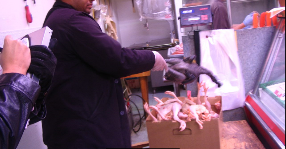 Health Inspector's Notebook: How to become a public health inspector in ...