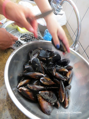 1camera1mom: Fresh Mussels from Saldahna Bay