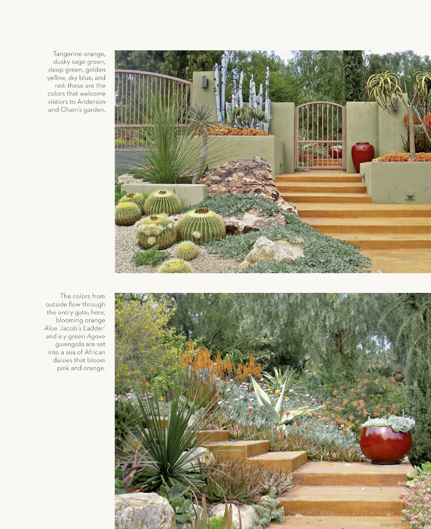 Hot Color, Dry Garden