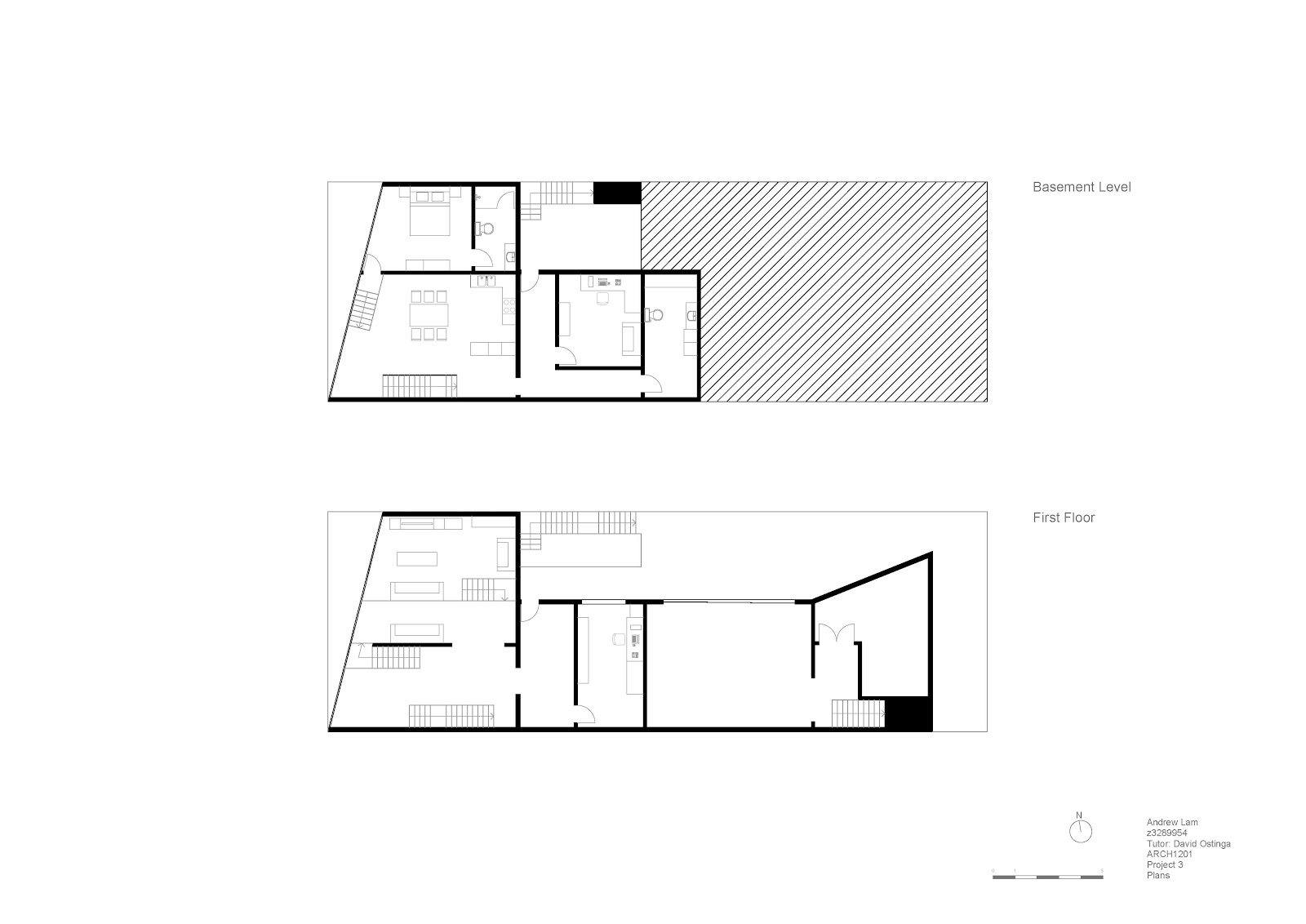 Andrew Lam: Project 3: Double House - Plans & Sections