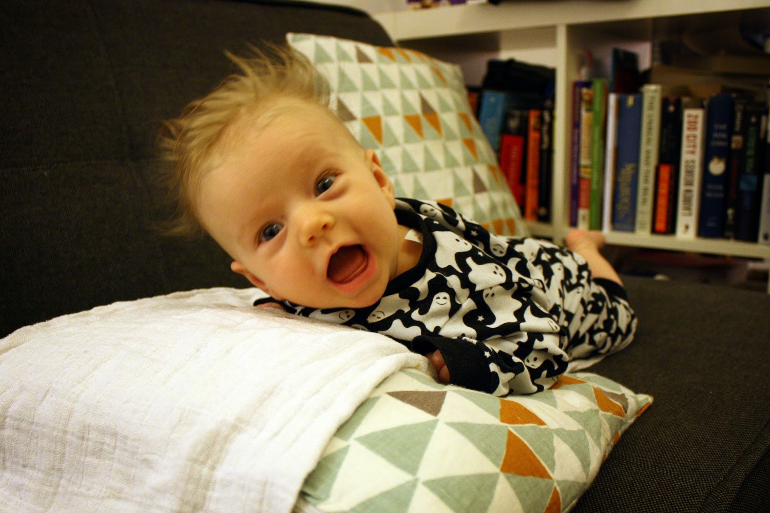 Hidden Geometry: Salmacis alien shuttle resurrected