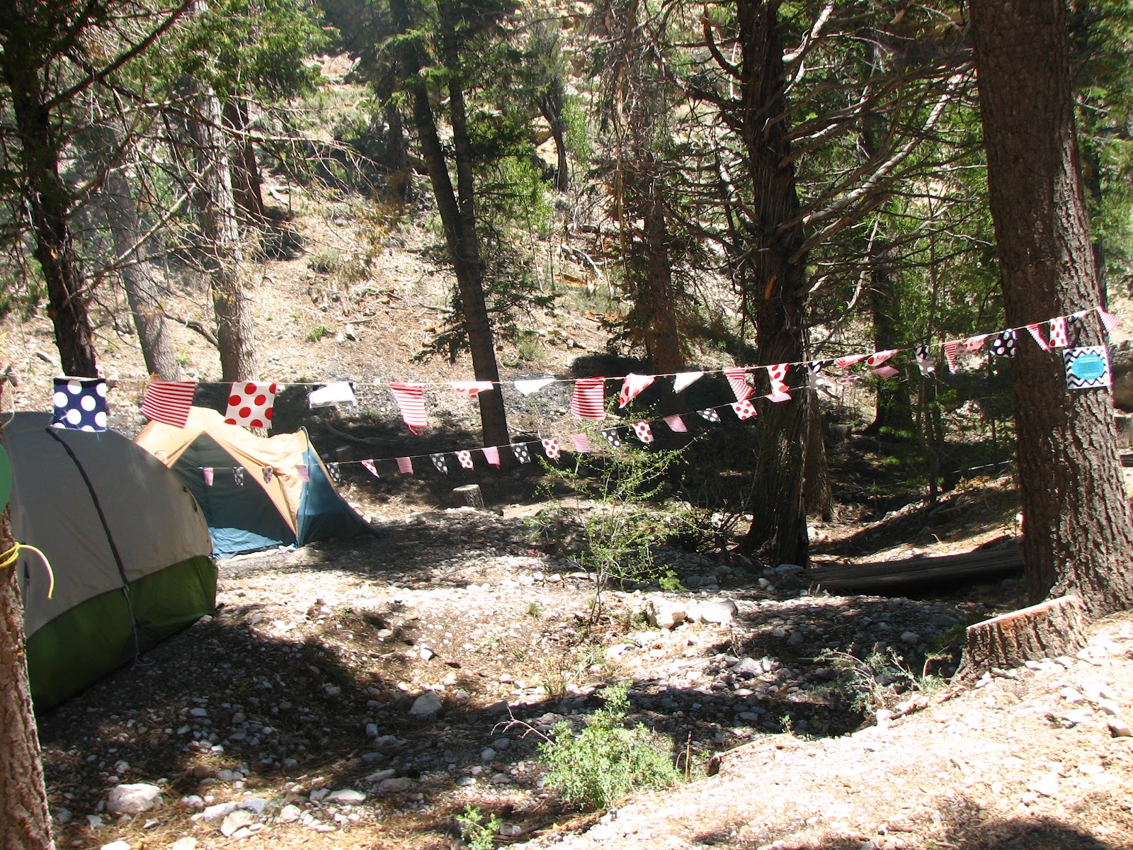 Young Women Inspiration: Girls Camp 2012~ our camp