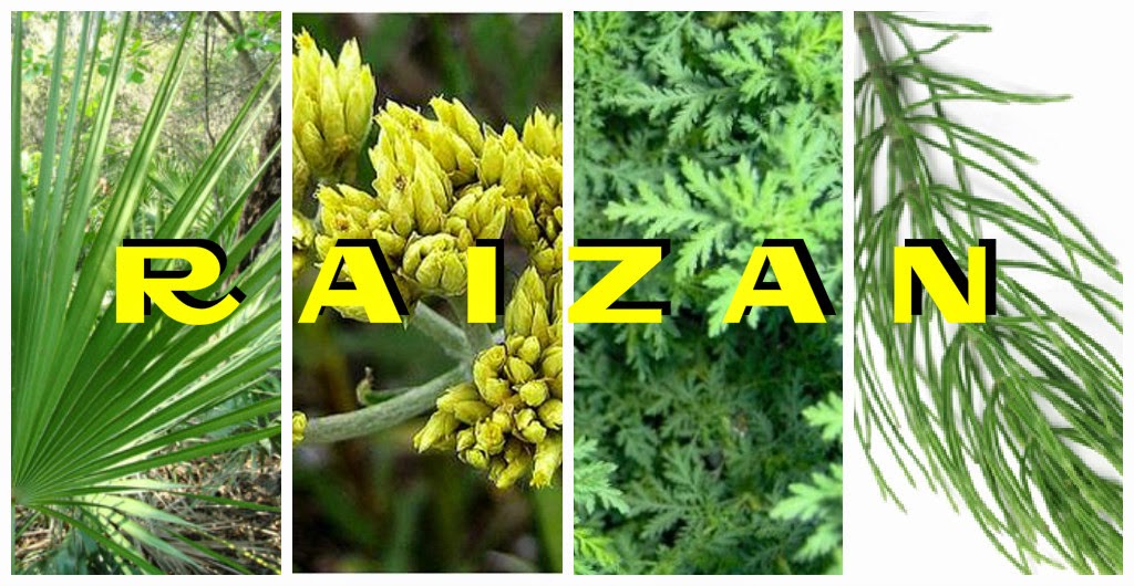 RAIZAN: ¿Qué es y para qué sirve Raizan?