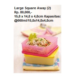 Large Square Away (2) | Tupperware Bogor Online