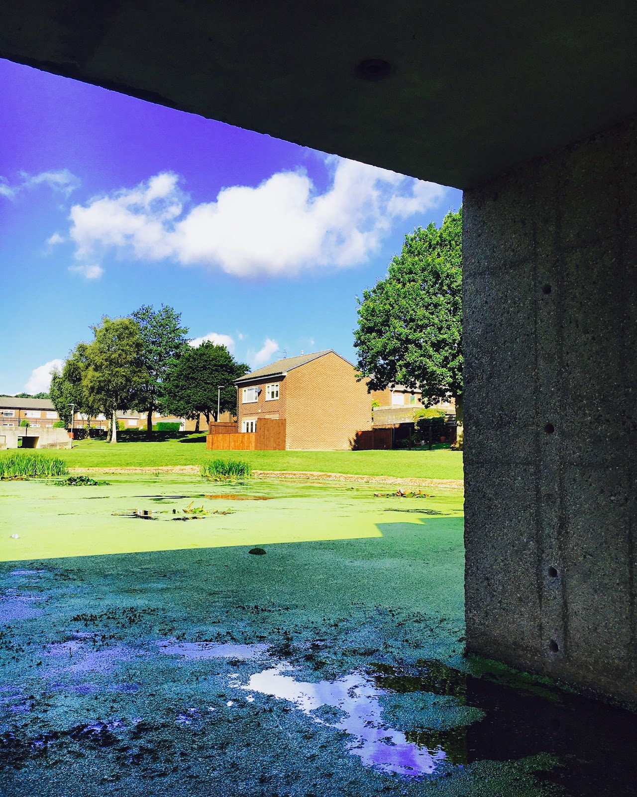 Visual Sound: APOLLO PAVILION BY VICTOR PASMORE 1969 | PETERLEE ...