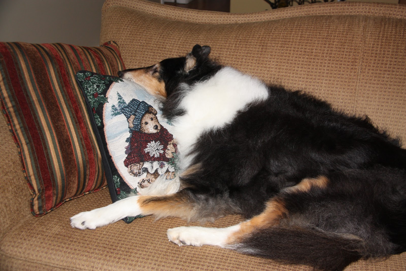 My life with the critters: What Riley Wants, Riley Gets