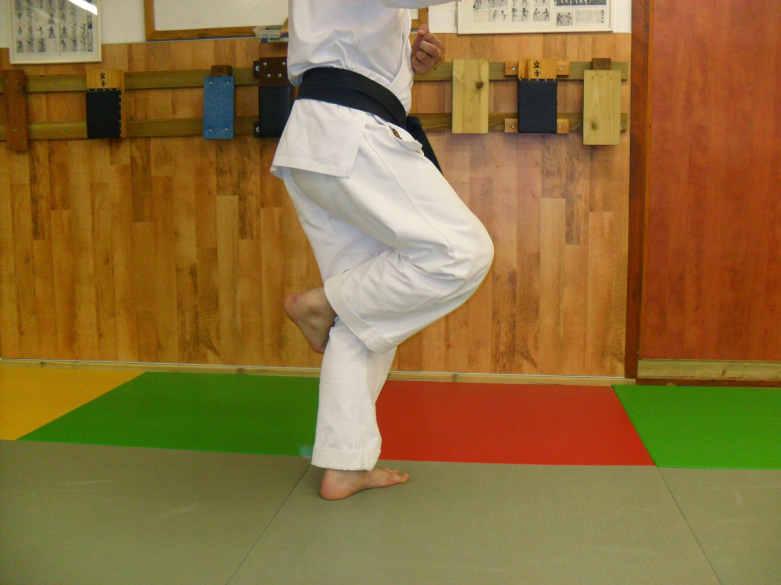 Japanese in Karate: Japanese in Karate 24 “other stances”