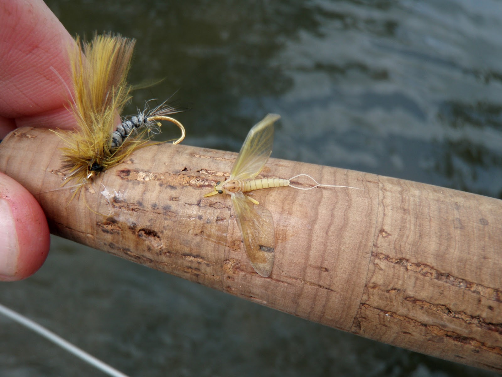River Fly Box: Mayfly, Yellow Mays and Iron Blues