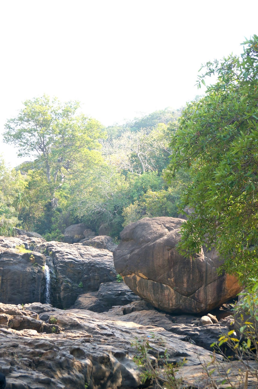 2 Weeks in India | 72 hours in Alwarkurichi & Video Diary